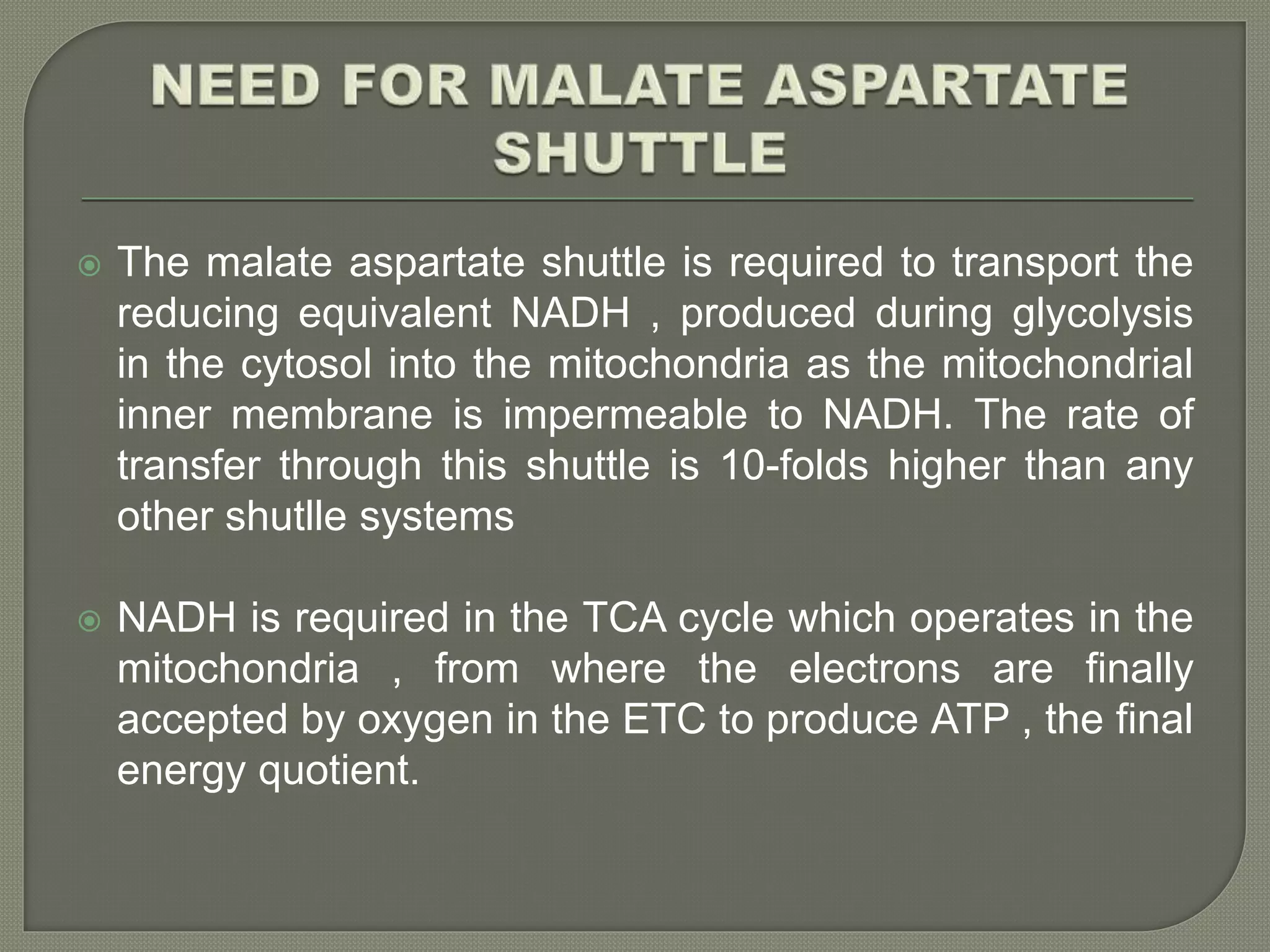 Malate aspartate shuttle | PPTX