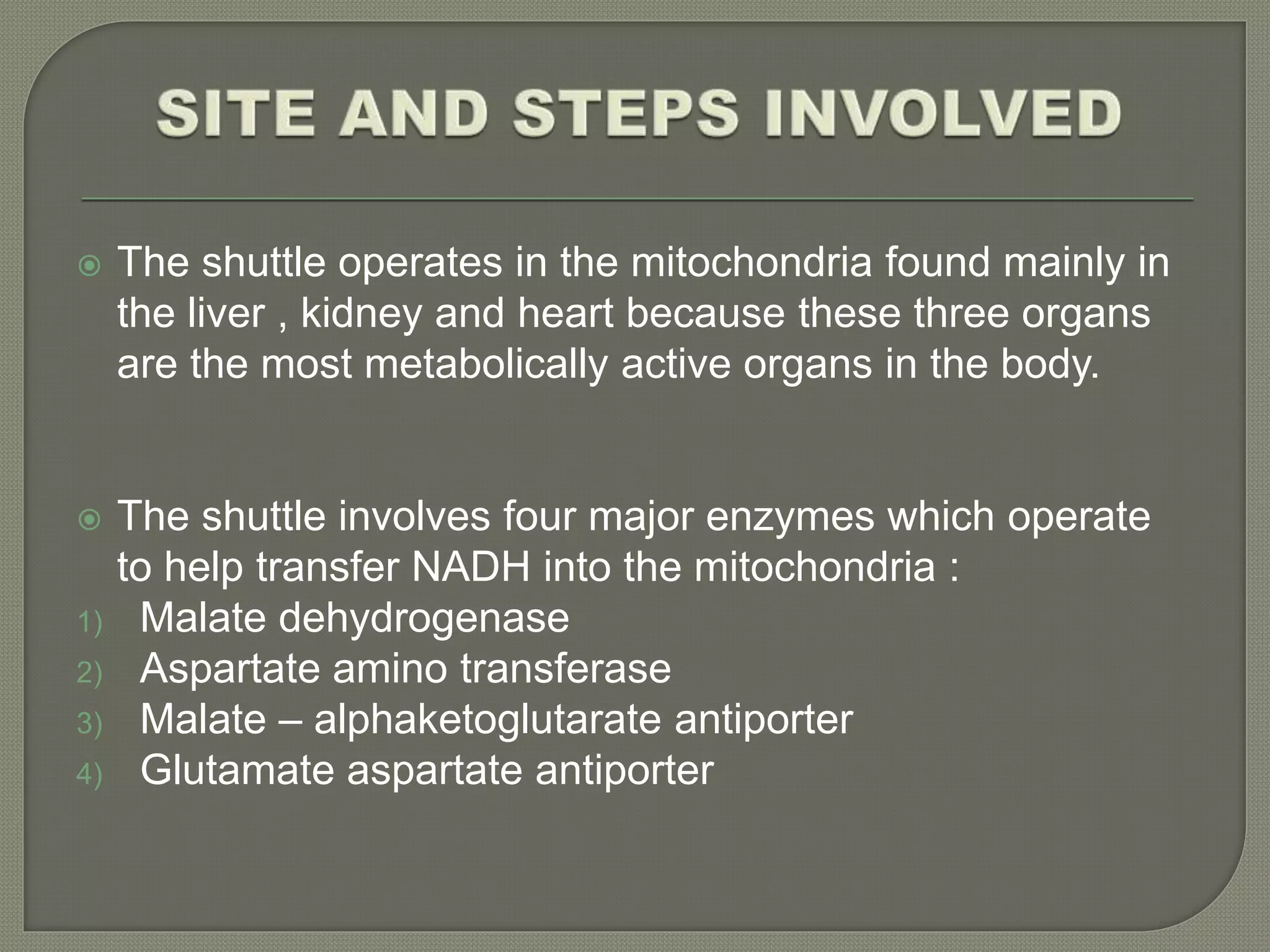 Malate aspartate shuttle | PPTX