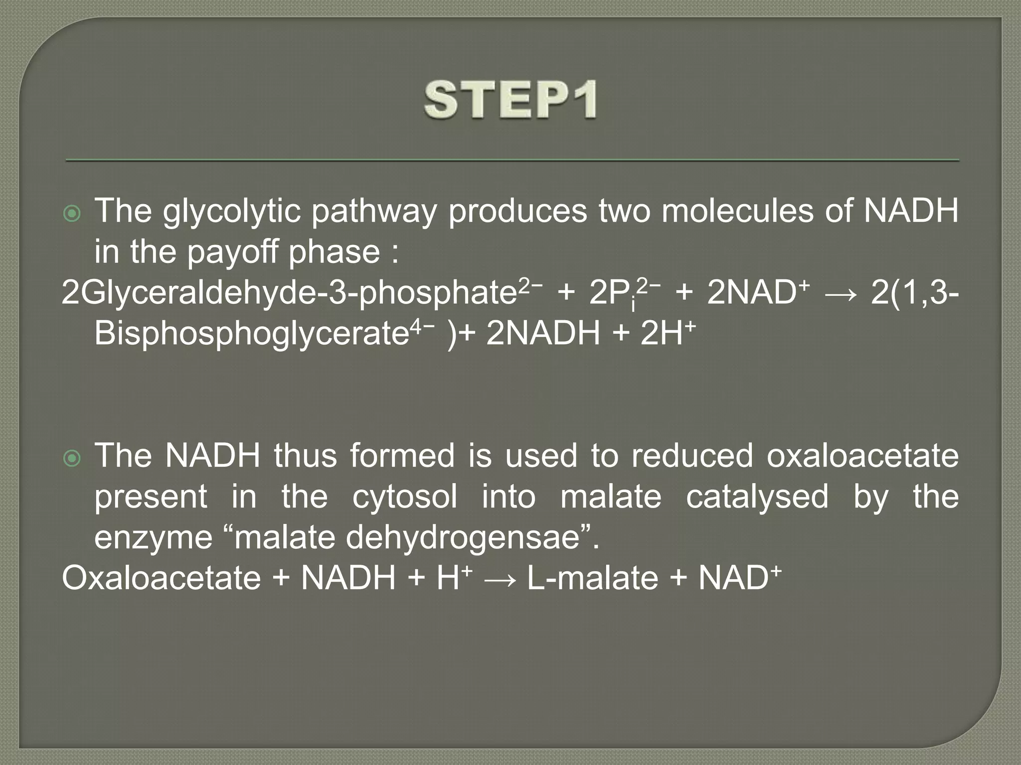 Malate aspartate shuttle | PPTX