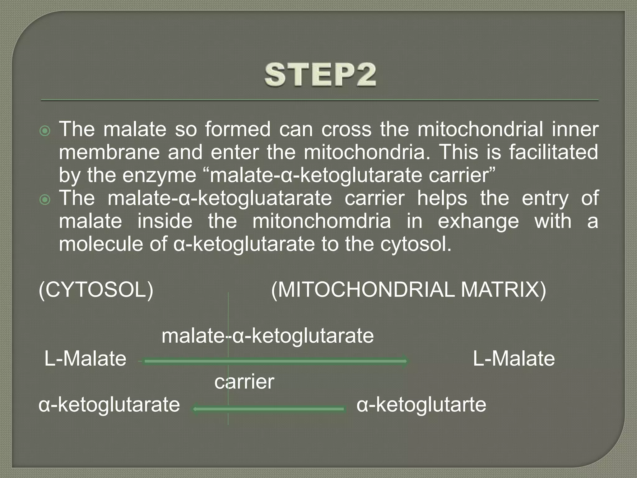 Malate aspartate shuttle | PPTX