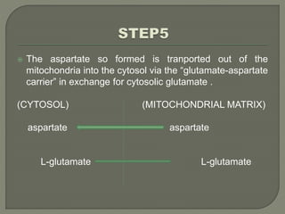 Malate aspartate shuttle | PPTX