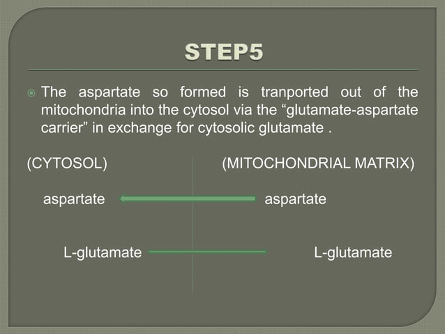 Malate aspartate shuttle | PPTX