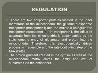 Malate aspartate shuttle | PPTX