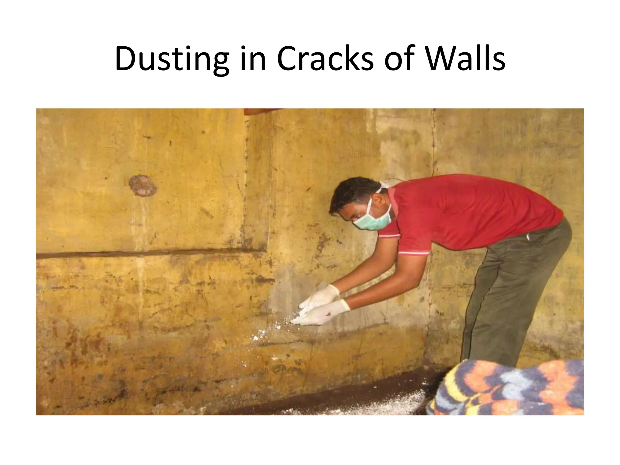 Malathion Use for field disinfectant sandfly | PPT