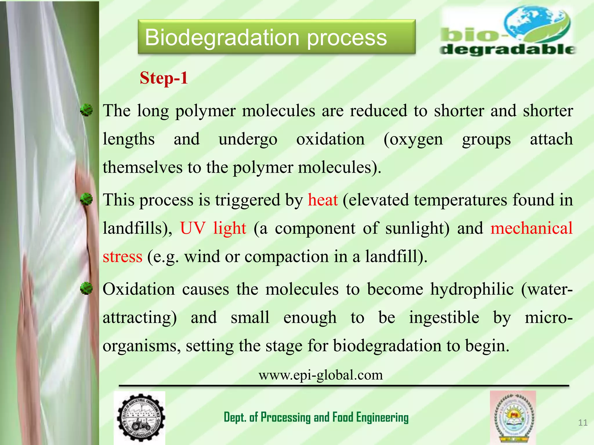 Biodegradable films for Food Packaging | PPTX