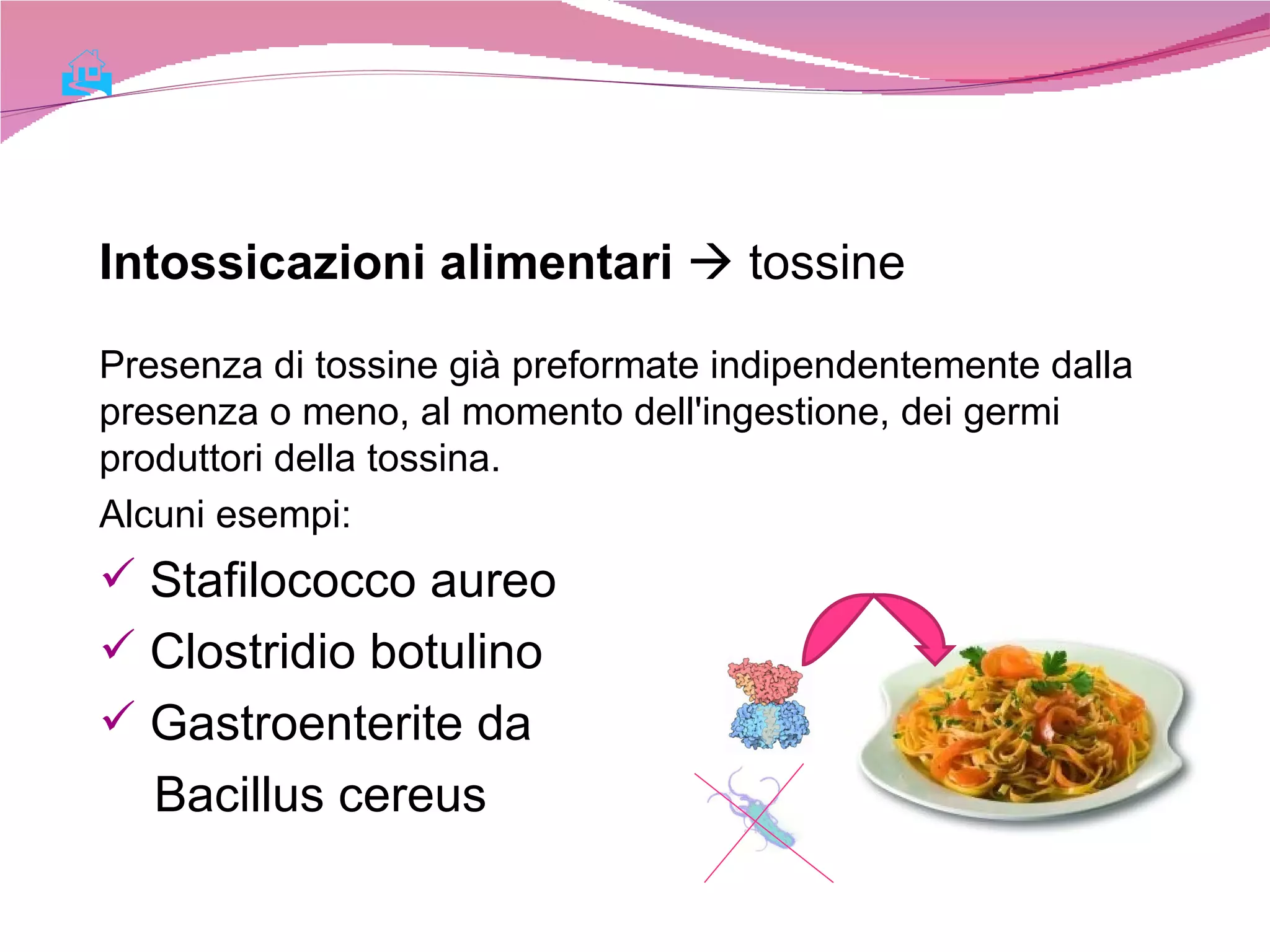 Principali malattie trasmissibili con gli alimenti | PPT