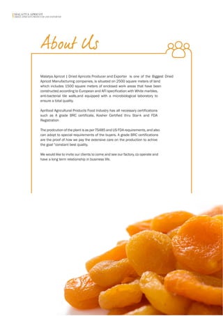 Malatya Apricot - Turkish Dried Apricots | PDF