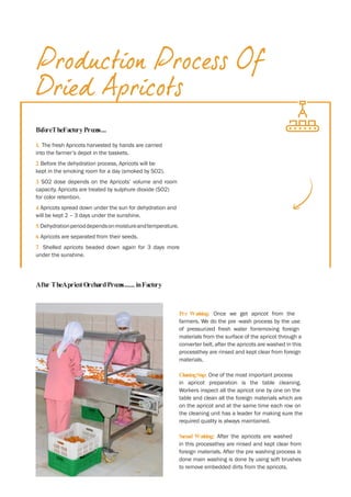 Malatya Apricot - Turkish Dried Apricots | PDF
