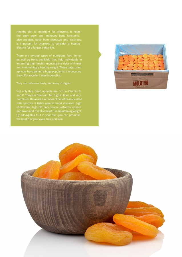 Malatya Apricot - Turkish Dried Apricots | PDF