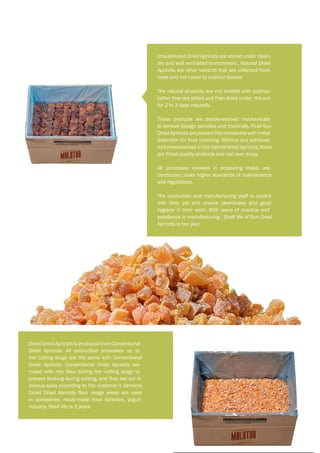 Malatya Apricot - Turkish Dried Apricots | PDF