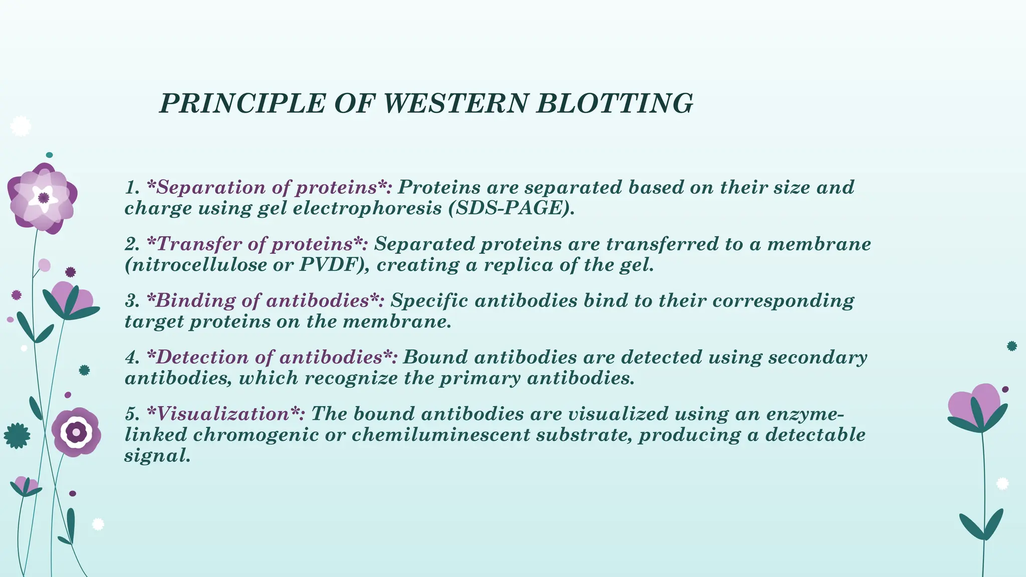Western blotting purification of antibodies -immunology | PPTX
