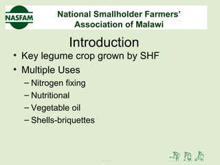 Malawi desk review groundnut value chain | PPT