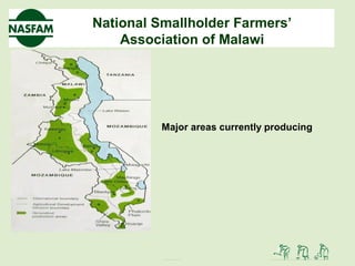 Malawi desk review groundnut value chain | PPT