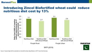 Biofortification – Nutritionally Enriched Staple Crops, the Foundation ...
