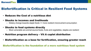 Biofortification – Nutritionally Enriched Staple Crops, the Foundation ...