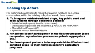 Biofortification – Nutritionally Enriched Staple Crops, the Foundation of the Food System | PPT