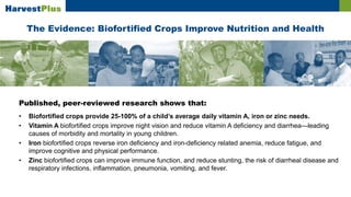 Biofortification – Nutritionally Enriched Staple Crops, the Foundation ...