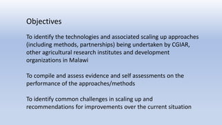 Scaling up of Agricultural Technology in Malawi | PDF