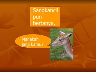 Malay Fairy Tale Story for Yonger Kids | PPT