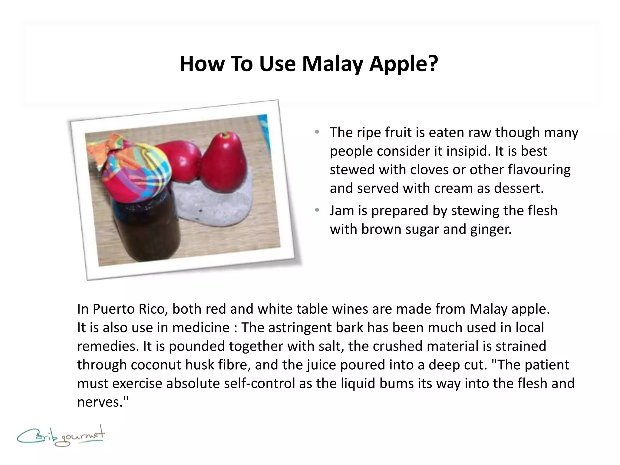 What is Malay Apple? What is Malaka? | PPTX