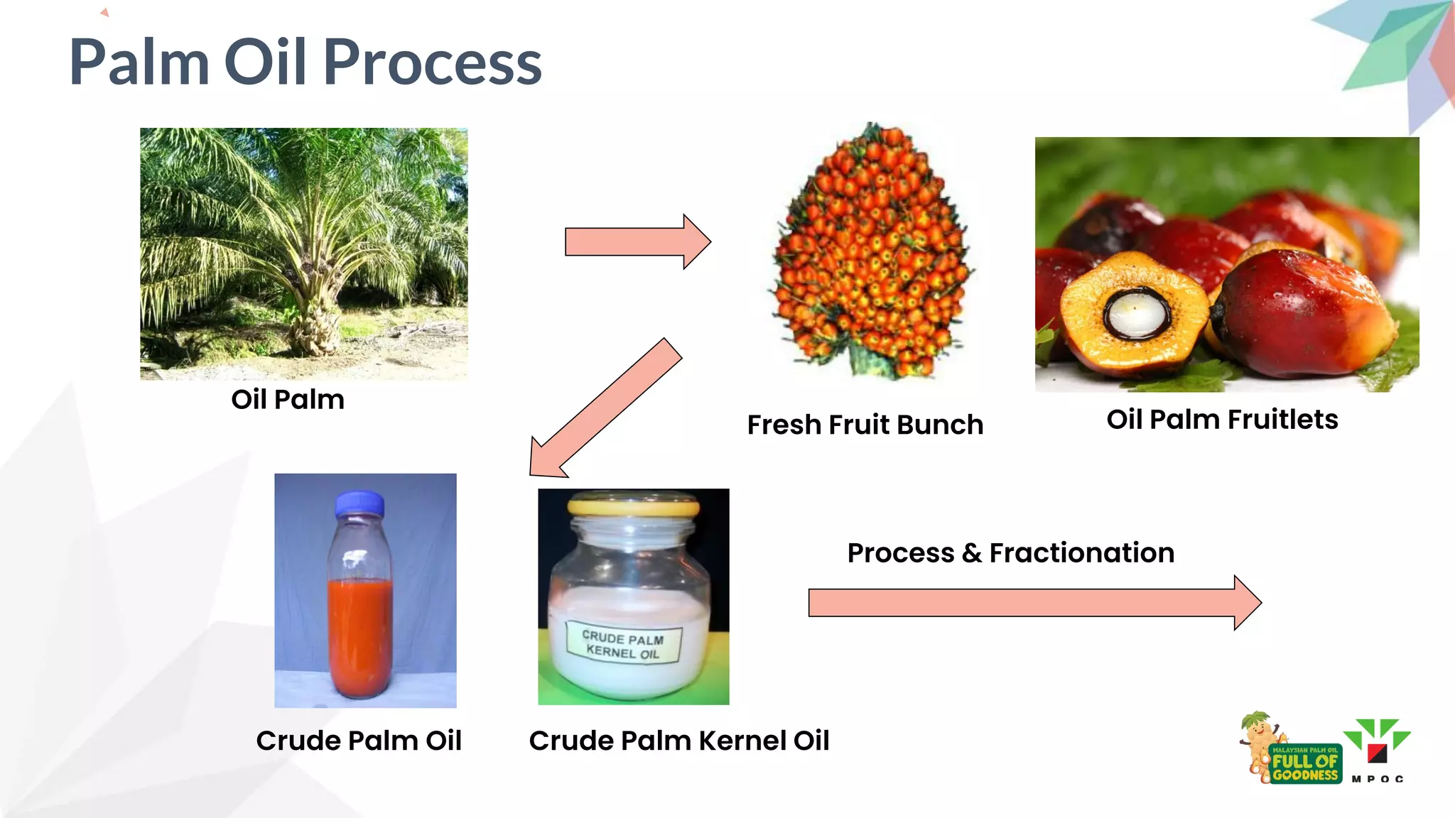 Malaysian Palm Oil -Nutrition- Health Benefits and Application.pdf ...