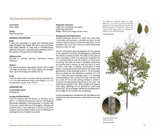 Malaysian Threatened and Rare Tree_ Identification and Landscape ...