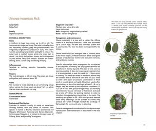 Malaysian Threatened and Rare Tree_ Identification and Landscape ...