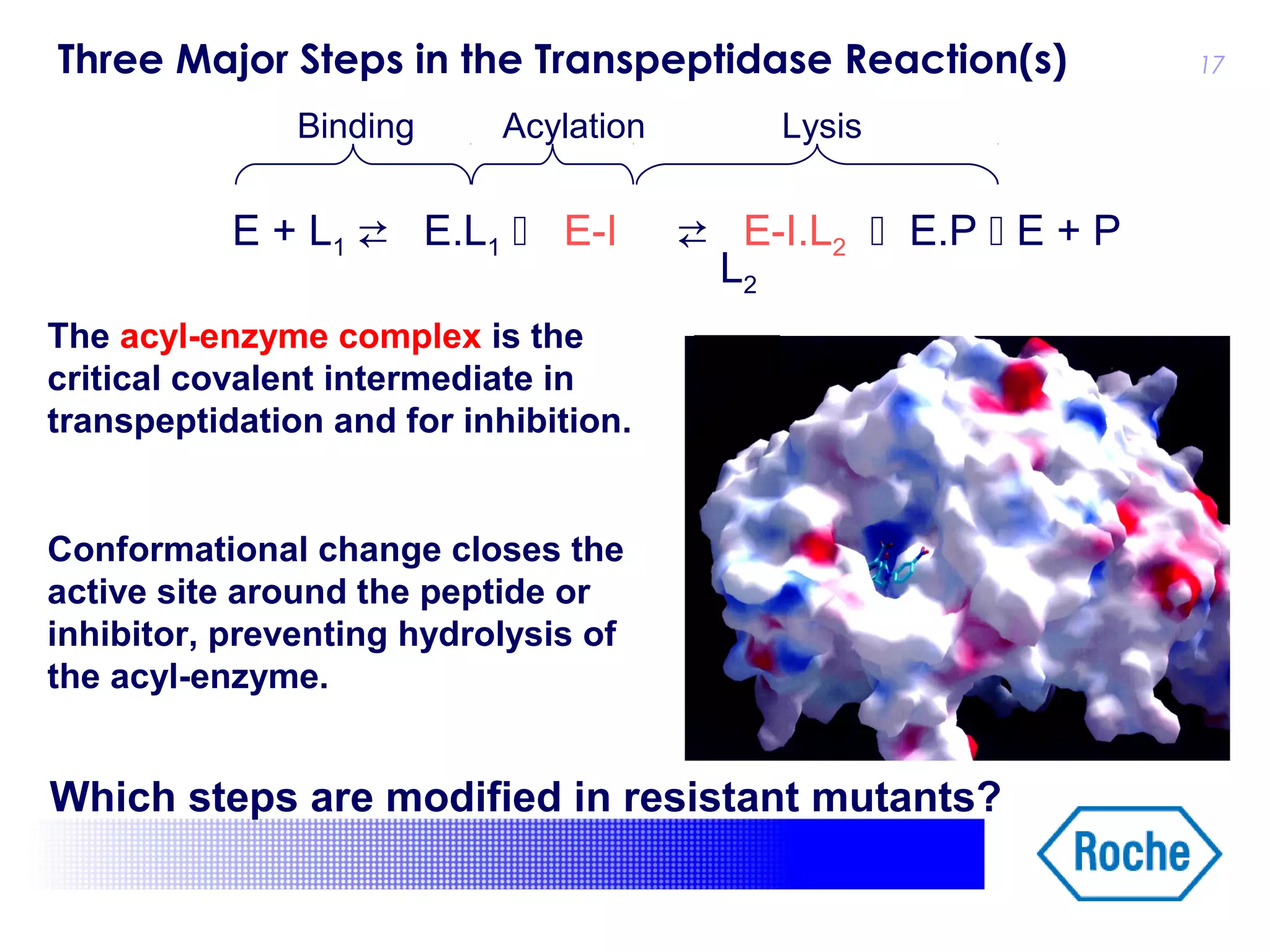 Chemical Evolution of B Lactams to Keep Pace with Bacterial Resistance ...