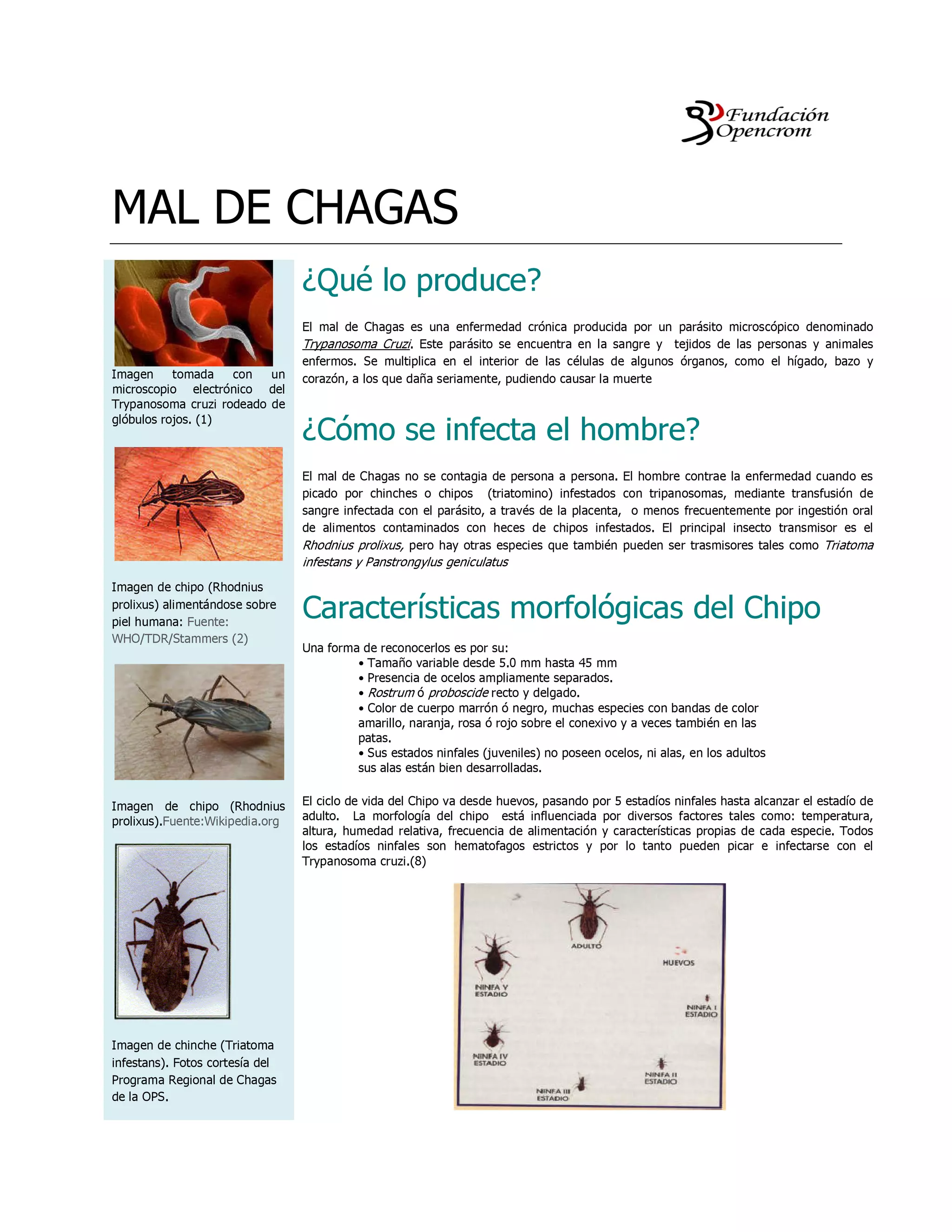 Mal de Chagas | PDF