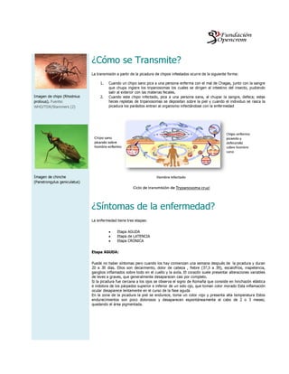Mal de Chagas | PDF