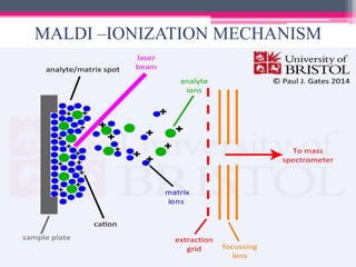 MALDI - TOF | PPTX