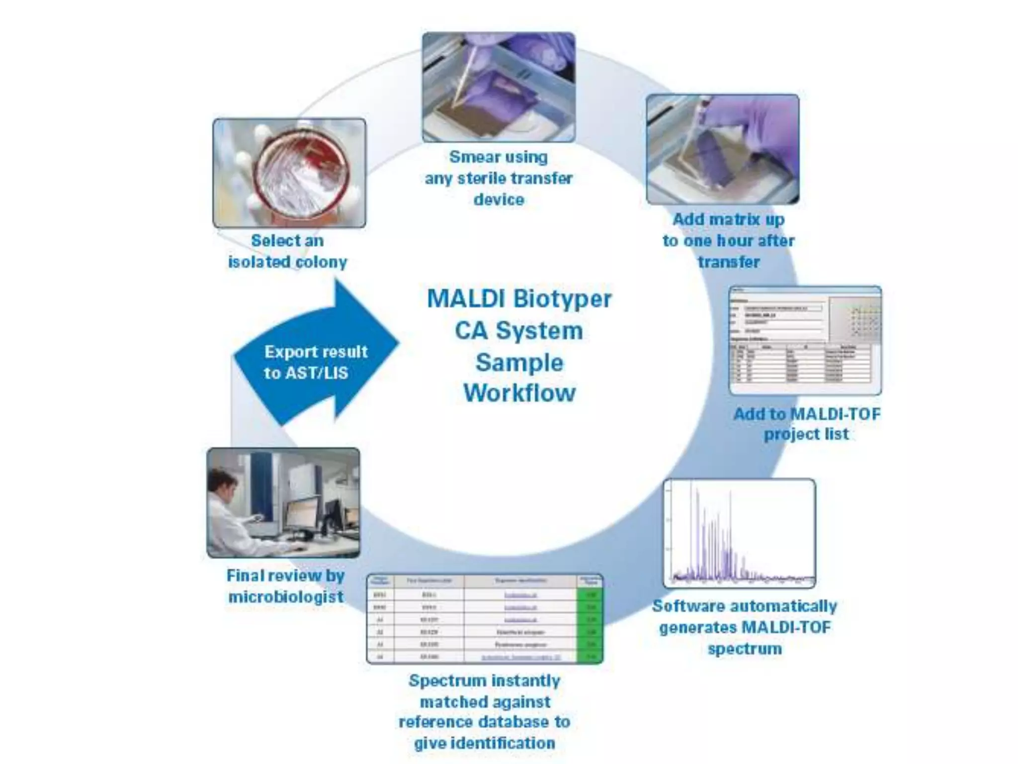 MALDI TOF | PPTX | Biological Sciences | Science