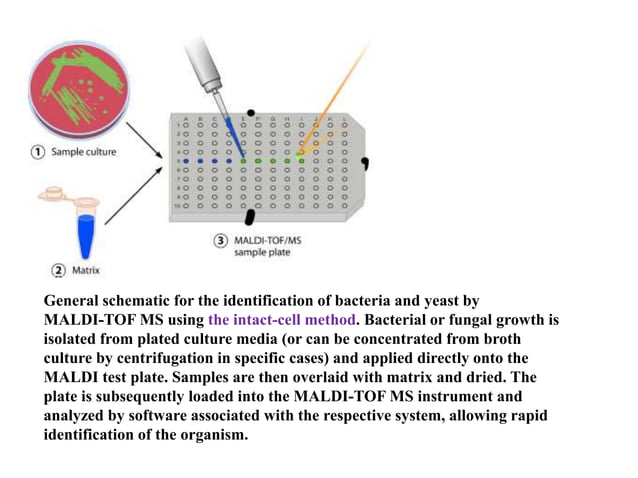 MALDI TOF | PPTX | Biological Sciences | Science