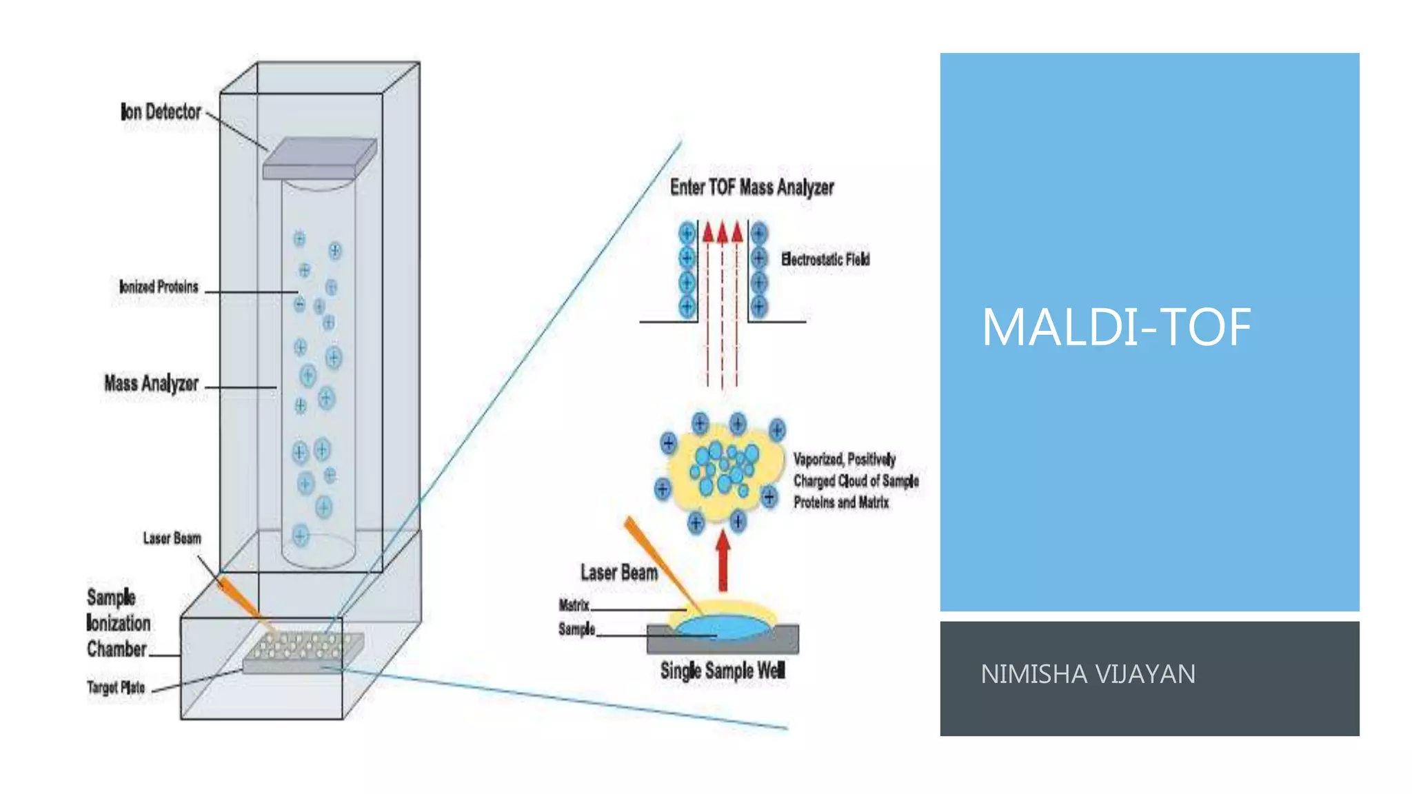 MALDI -TOF (Matrix Assisted Laser Desorption Ionization - Time OF Flight | PPTX