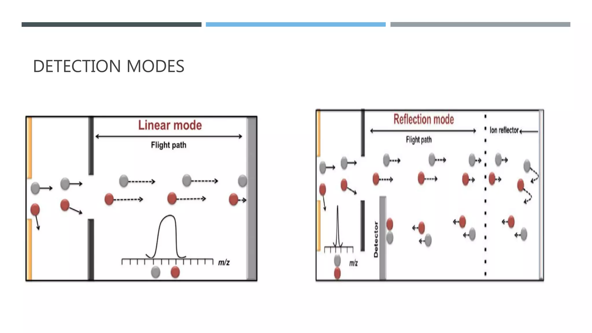 MALDI -TOF (Matrix Assisted Laser Desorption Ionization - Time OF ...