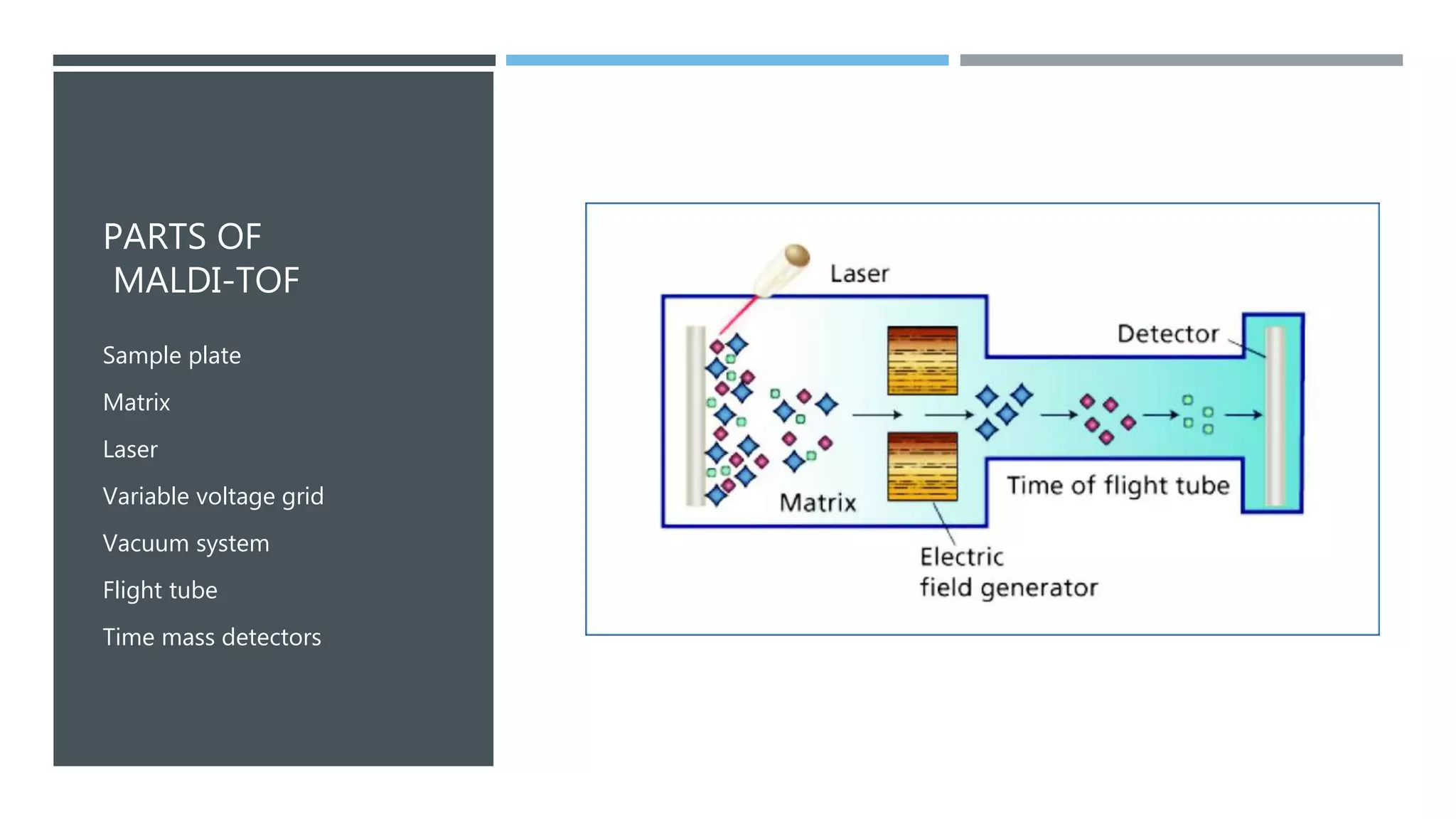 MALDI -TOF (Matrix Assisted Laser Desorption Ionization - Time OF Flight | PPTX