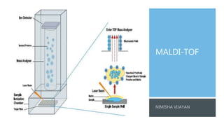MALDI -TOF (Matrix Assisted Laser Desorption Ionization - Time OF ...