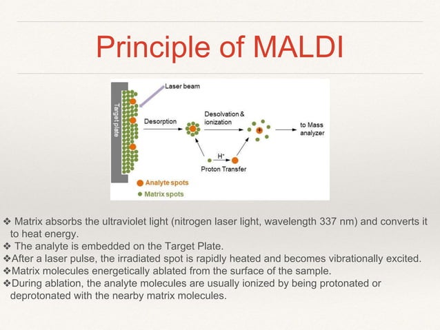 MALDI-TOF Mass Spectrometry