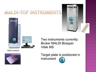 Microbiology Meets Mass Spectrometry | PPT