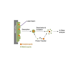 Maldi tof introduction and its applications | PPT