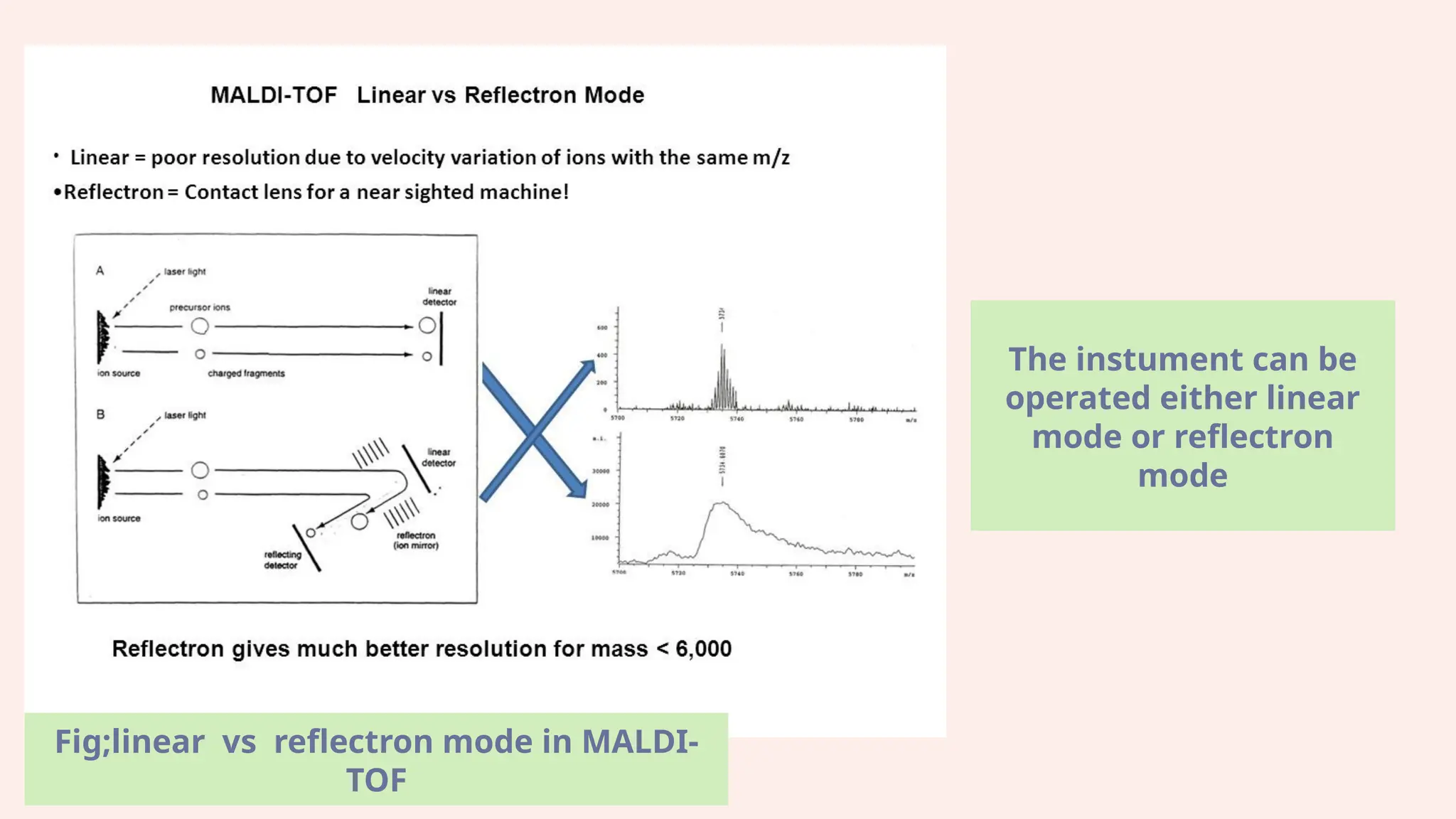 Basic Principle of MALDI-TOF Mass Spectrometry | PPTX