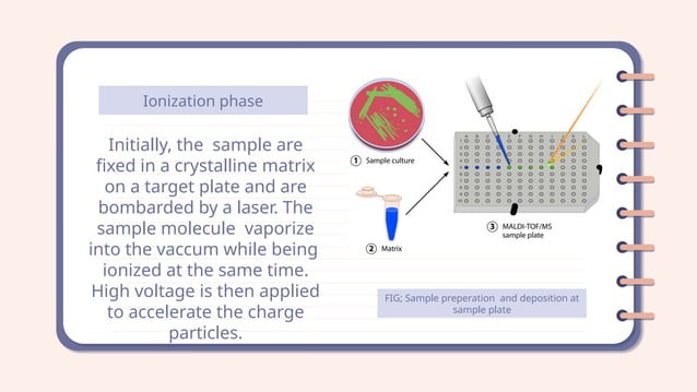 Basic Principle Of Maldi Tof Mass Spectrometry Pptx