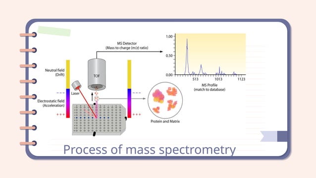 Basic Principle of MALDI-TOF Mass Spectrometry | PPTX