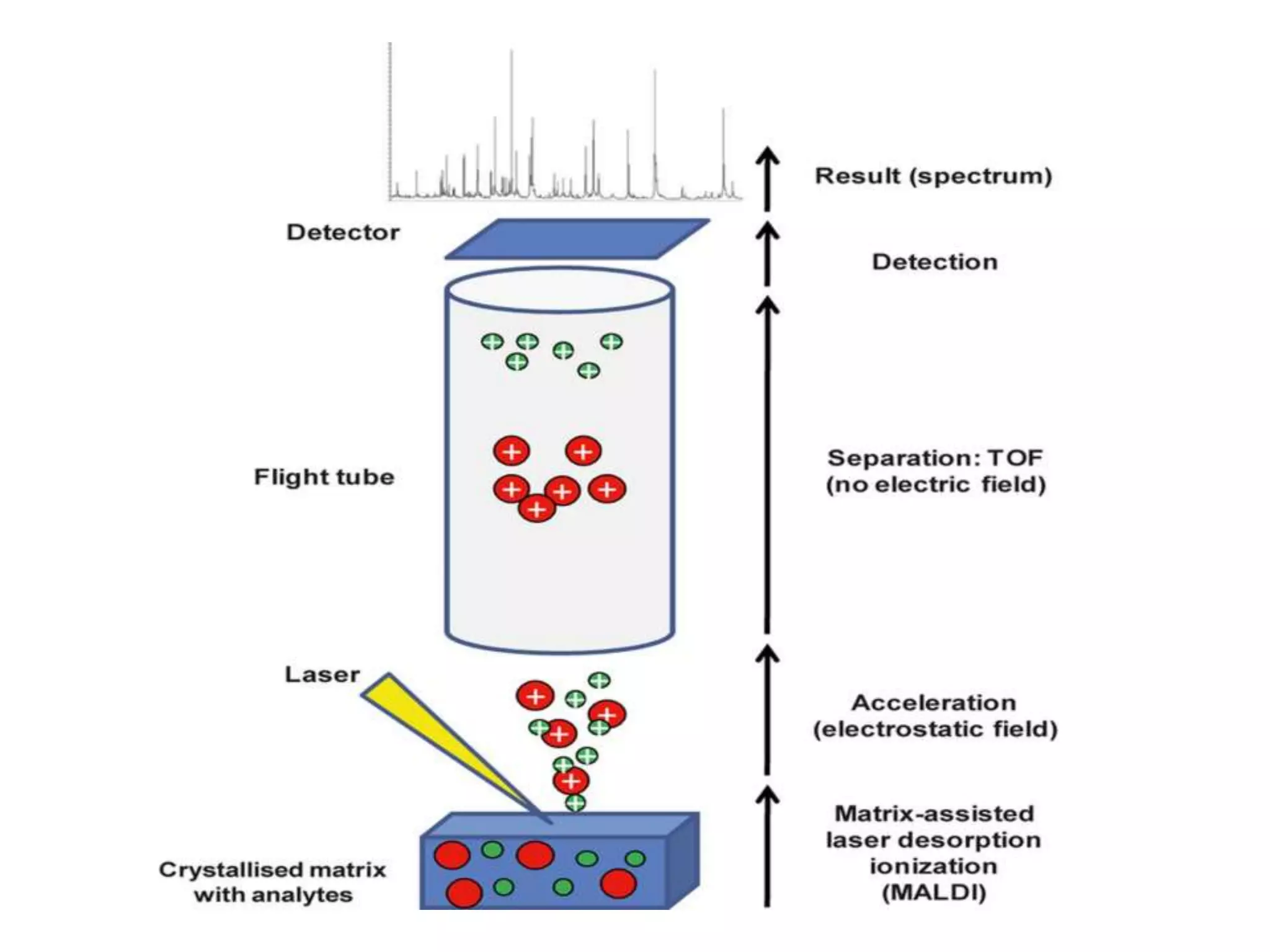 Maldi tof in proteomics (genomics) | PPTX