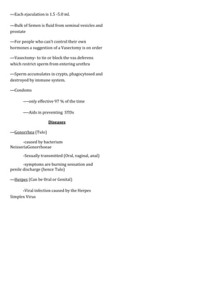 Male reproductive system | DOCX