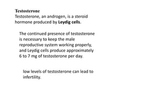 male reproductive system, organs and functionns.pptx