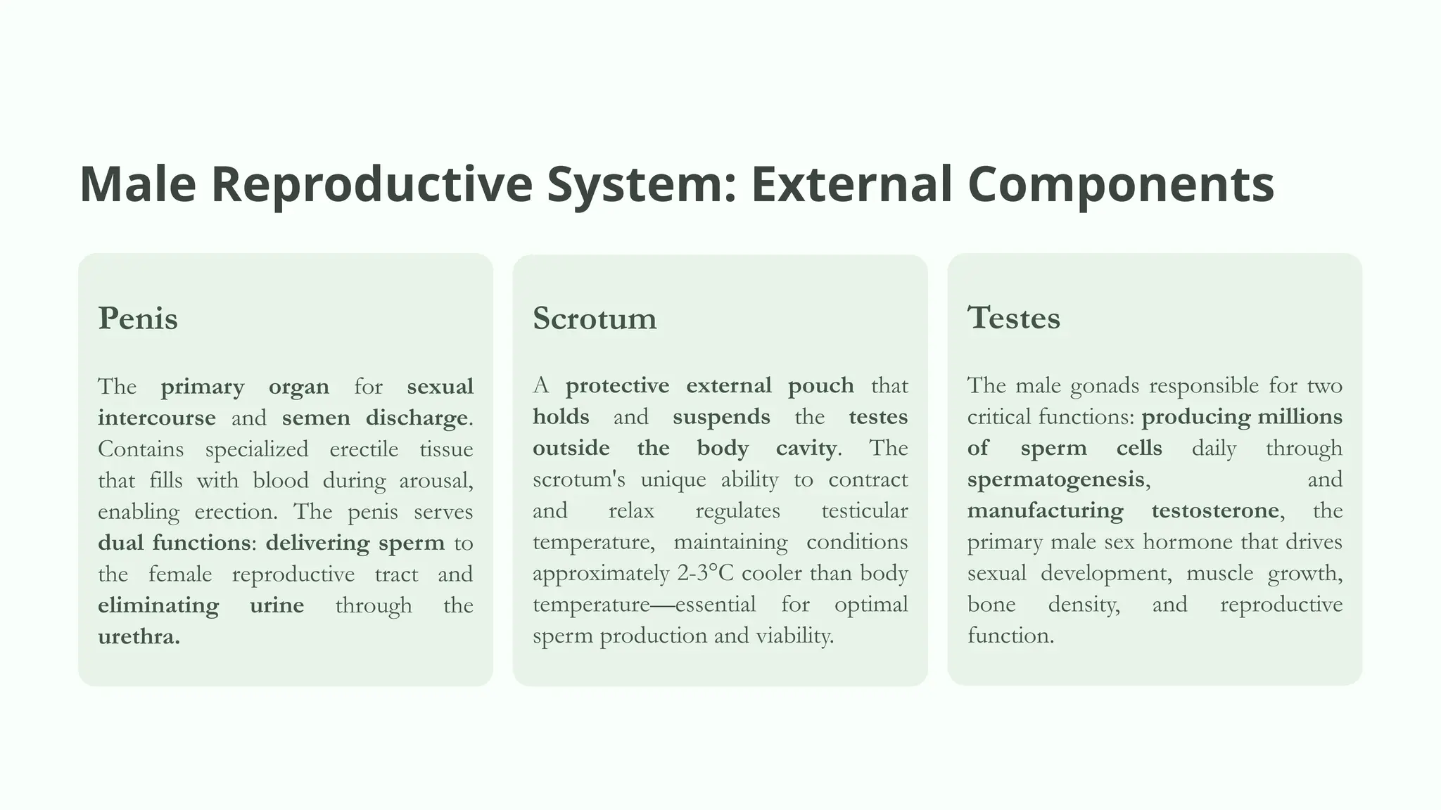 Male-and-Female-Reproductive-Systems.pptx