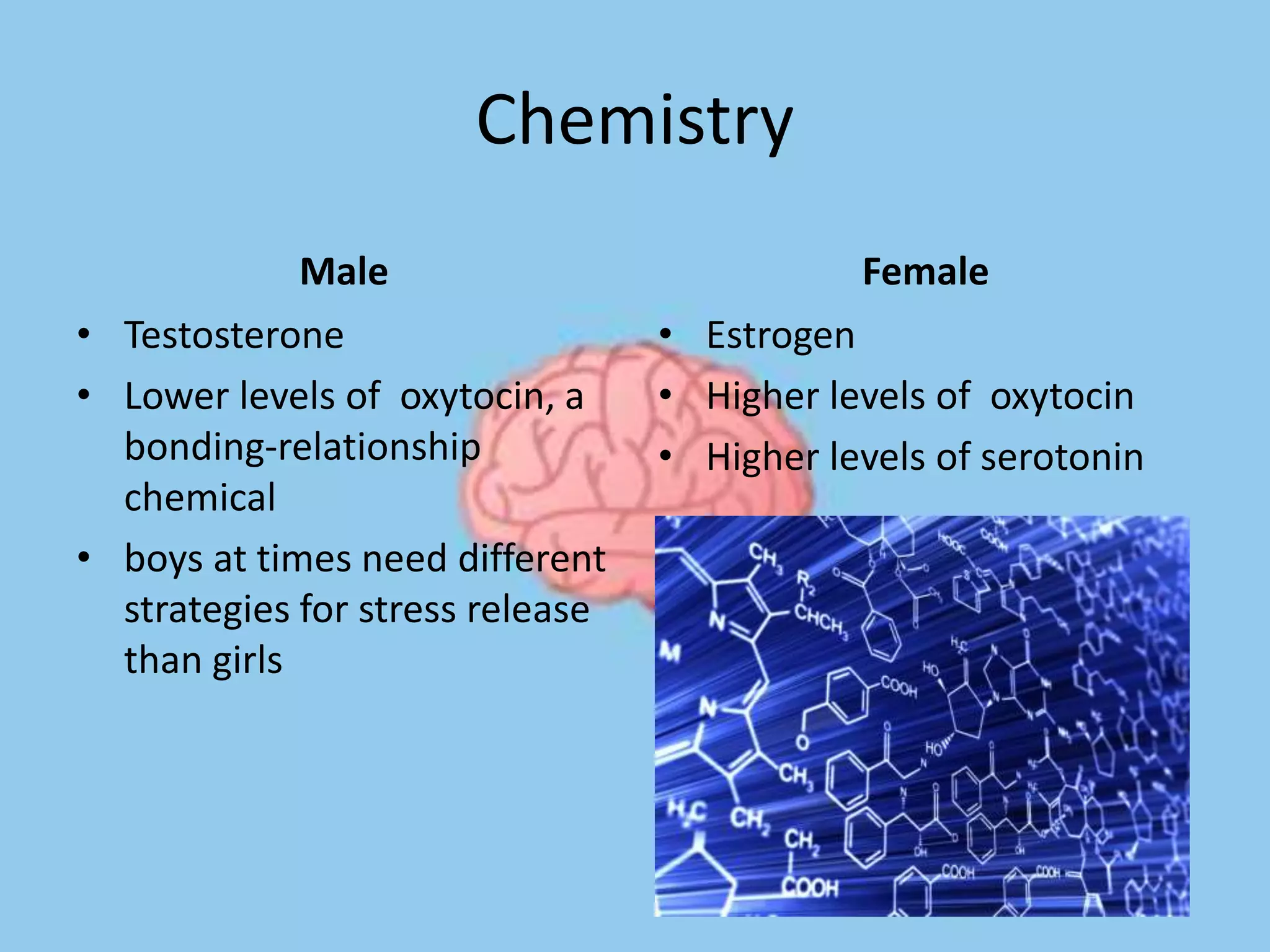 Male female brain | PPTX