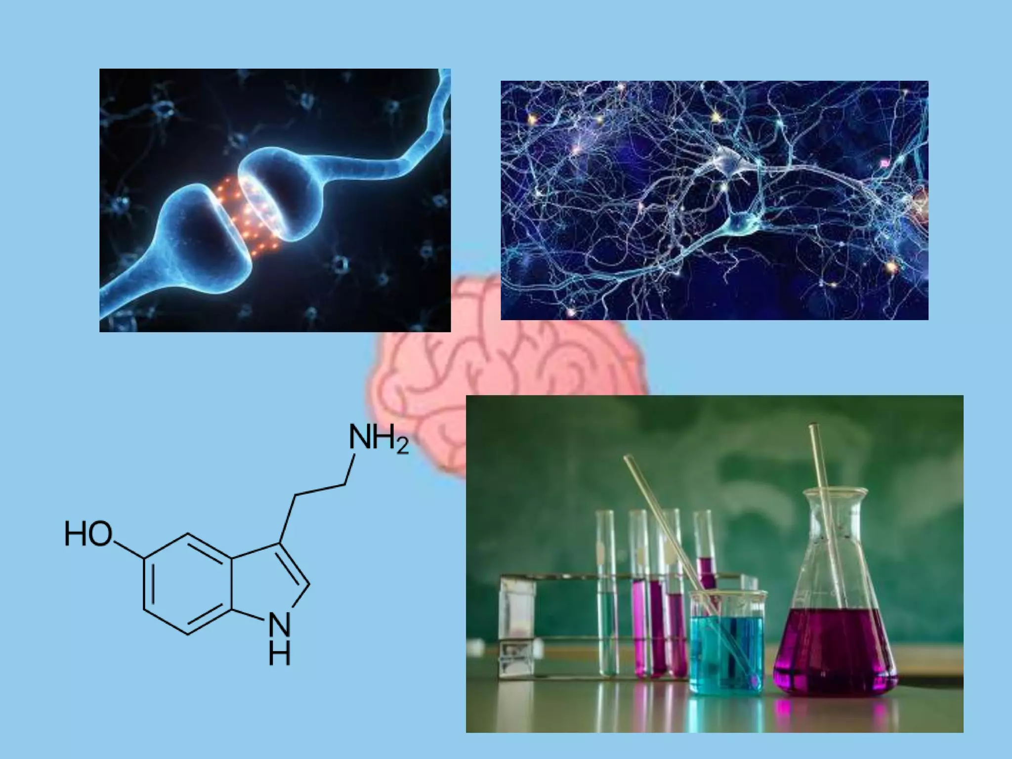 Male female brain | PPTX