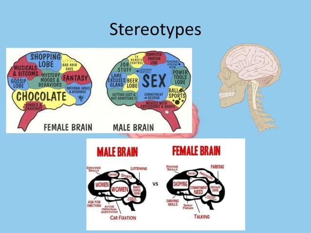 Male female brain | PPTX